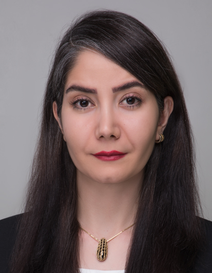 Bahar Shafiei - Australian Centre for Entrepreneurship and Innovation