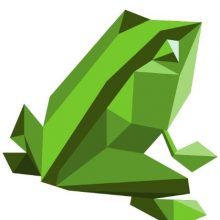 The ACPNS Freddo Frog story - Australian Centre for Philanthropy and ...