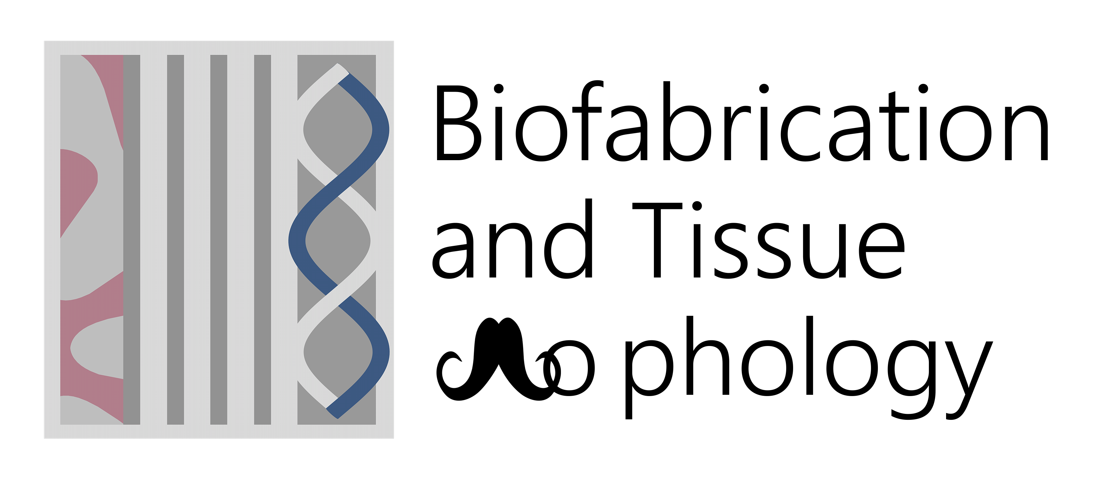 Thank you for your support! - Biofabrication and Tissue Morphology