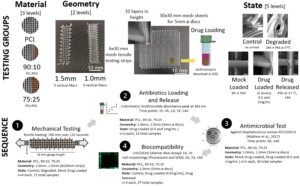 Development of 3D Printed Biodegradable Mesh with Antimicrobial ...