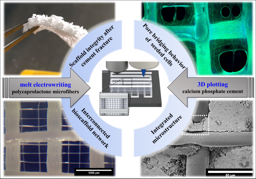 3D Plotting of Calcium Phosphate Cement and Melt Electrowriting of ...