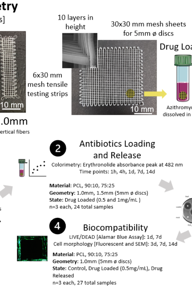 Development of 3D Printed Biodegradable Mesh with Antimicrobial ...