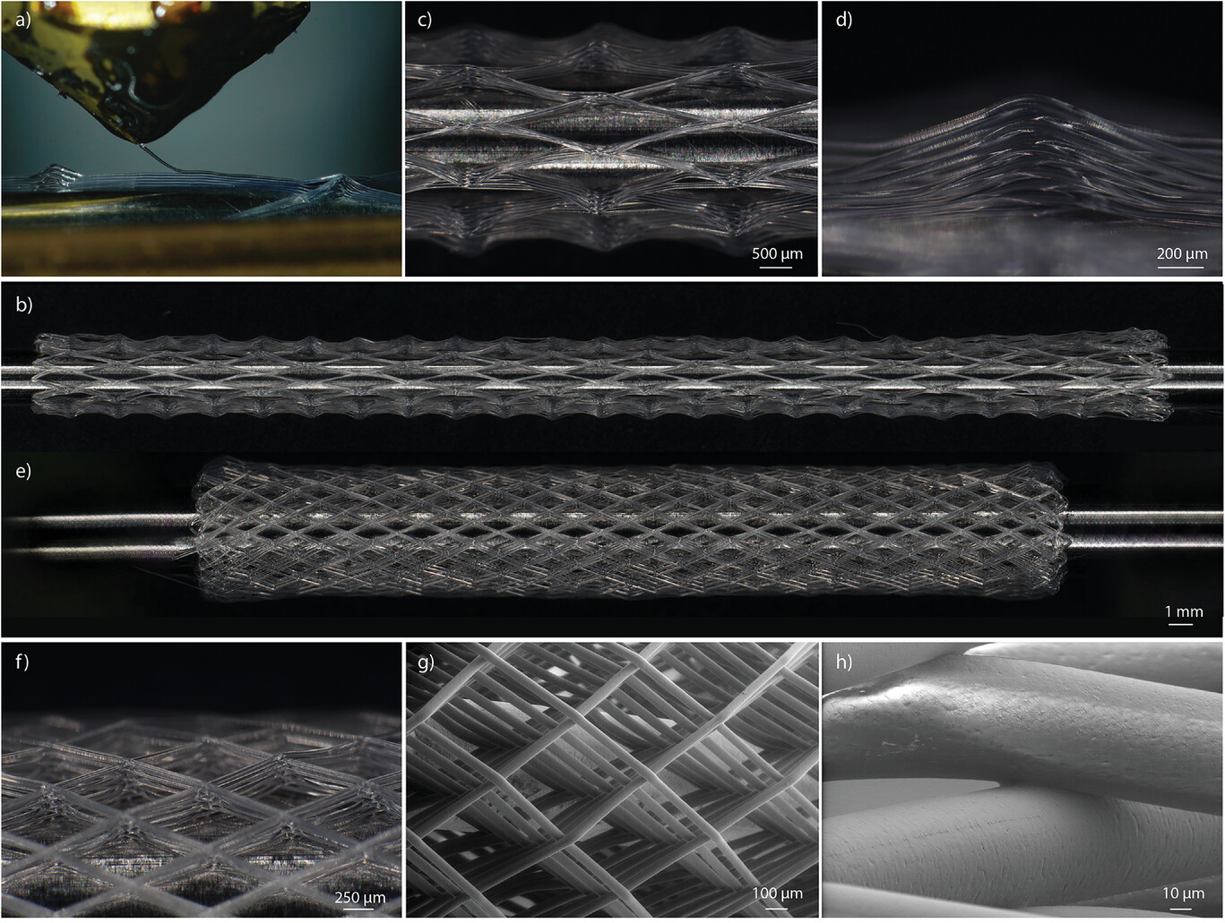 Melt Electrowriting of Nylon-12 Microfibers with an Open-Source 3D Printer - Biofabrication and ...