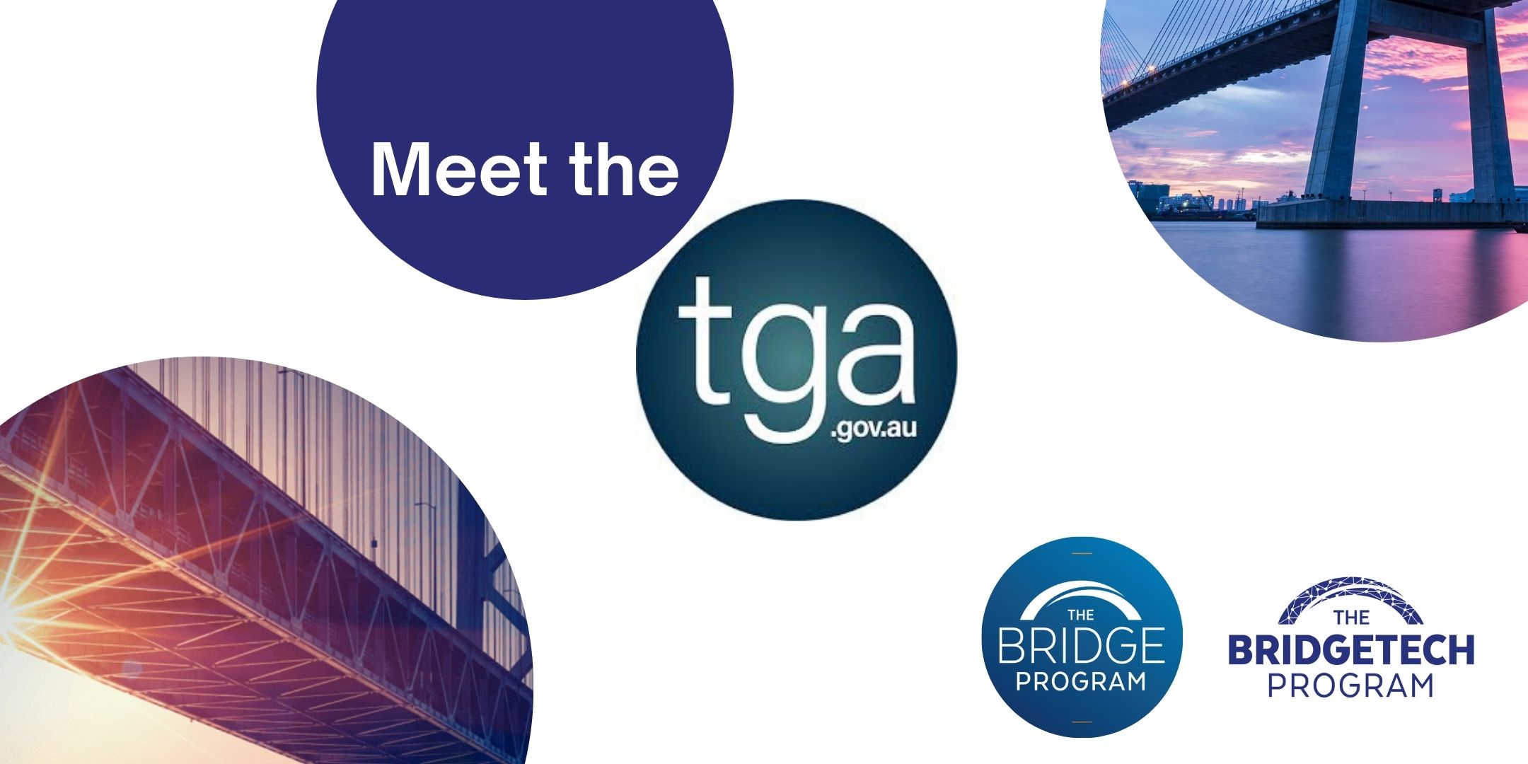Meet the TGA - The BridgeTech Program