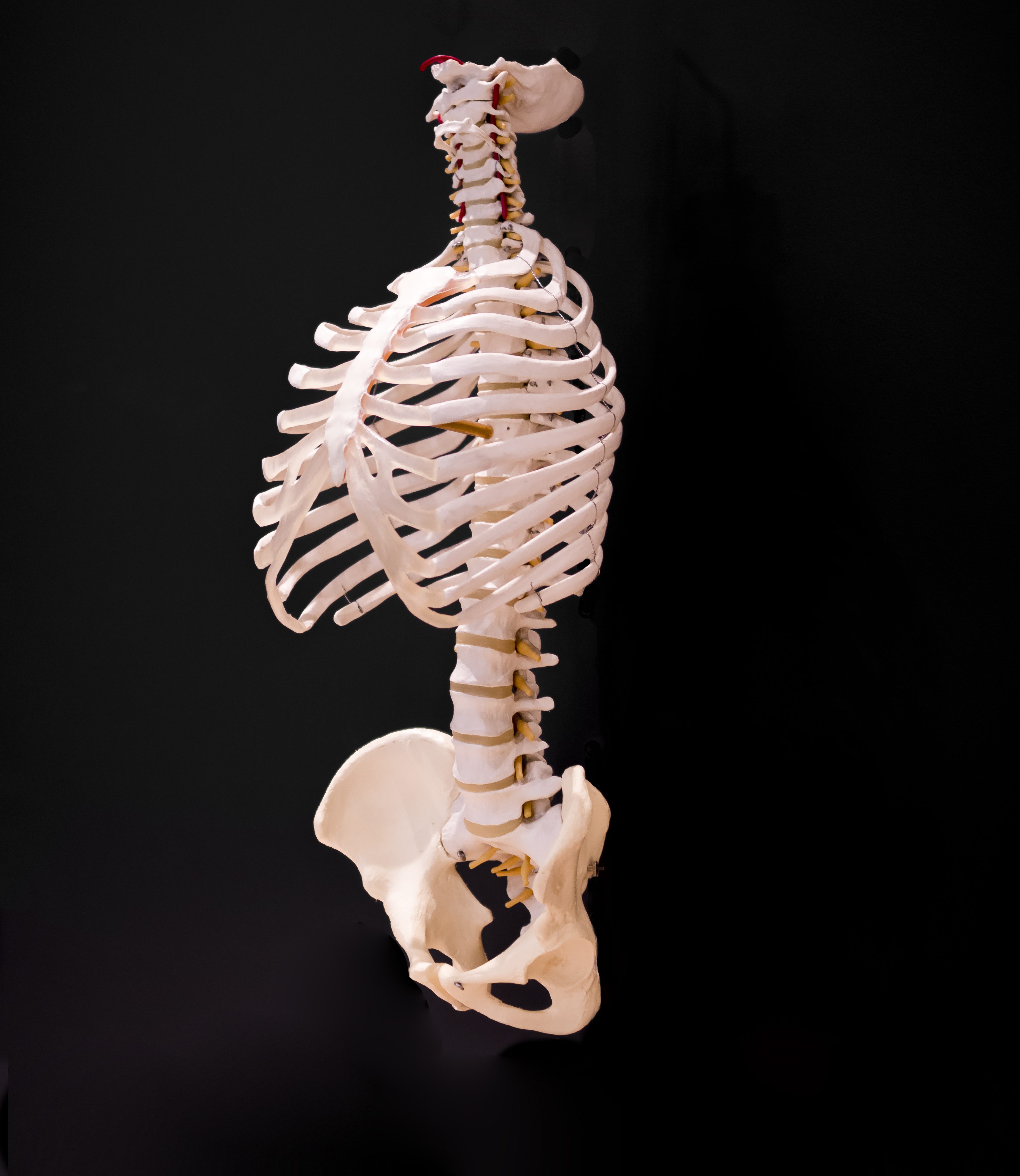 Publications - Biomechanics and Spine Research Group