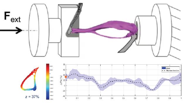 Mechanobiology of Bone Remodelling & Adaptation - Biomechanics and ...