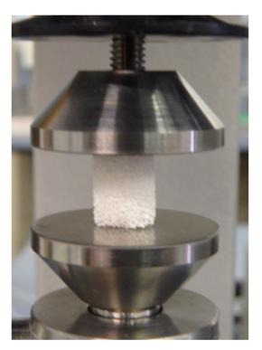 Characterisation of Biological Tissues - Biomechanics and Spine ...