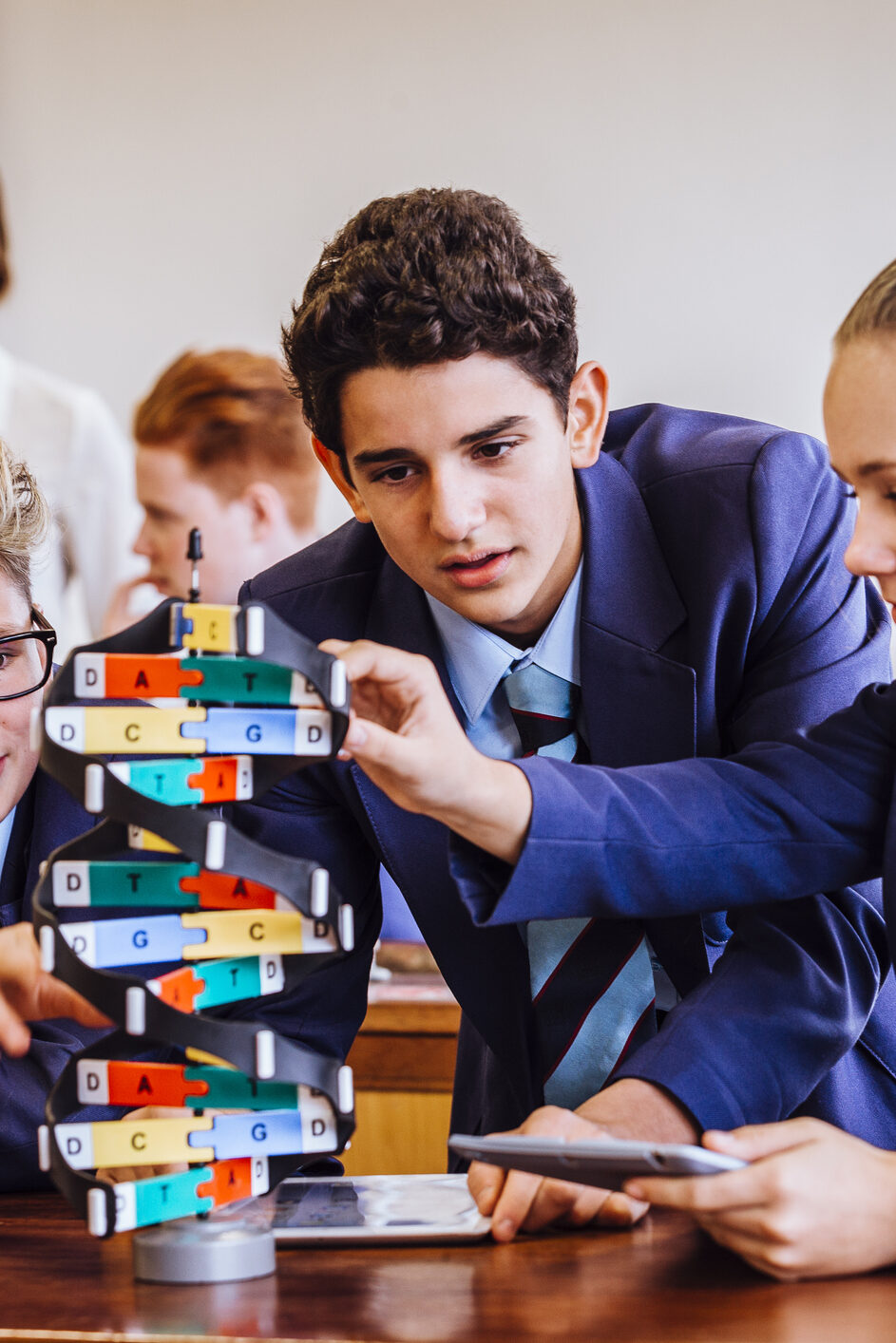 Accessibility in assessment for learning: sharing criteria for success ...