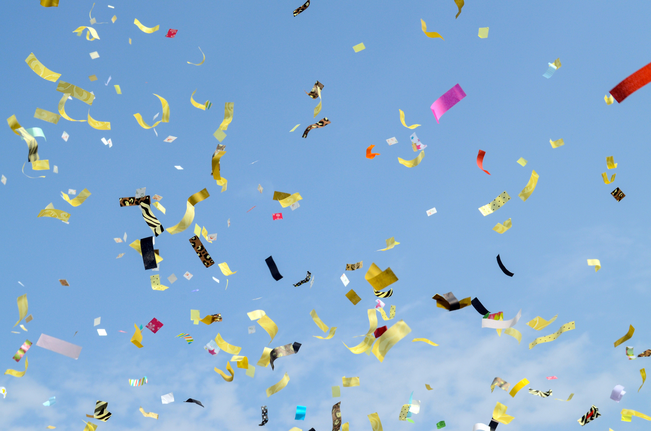 C4IE Scholar Elise Bray: Finalist in QUT's Three Minute Thesis (3MT ...