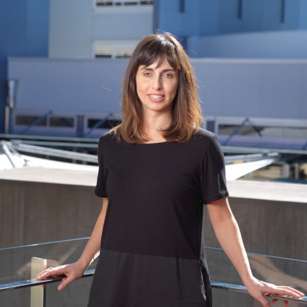 Successfully including students with complex learning profiles - The ...