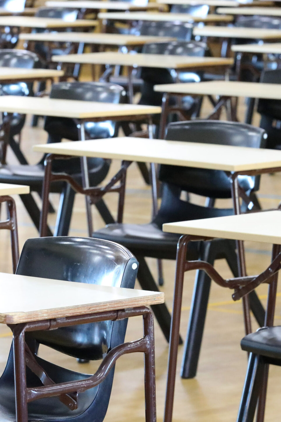 Legal system barriers to the effectiveness of the Disability ...