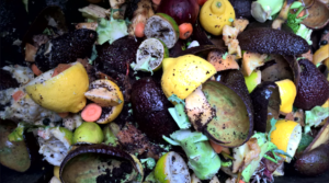 Whole of meat supply chain waste mapping and interventions – Phase 1 ...