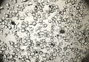 Improving pan stage performance by on-line monitoring of C seed ...