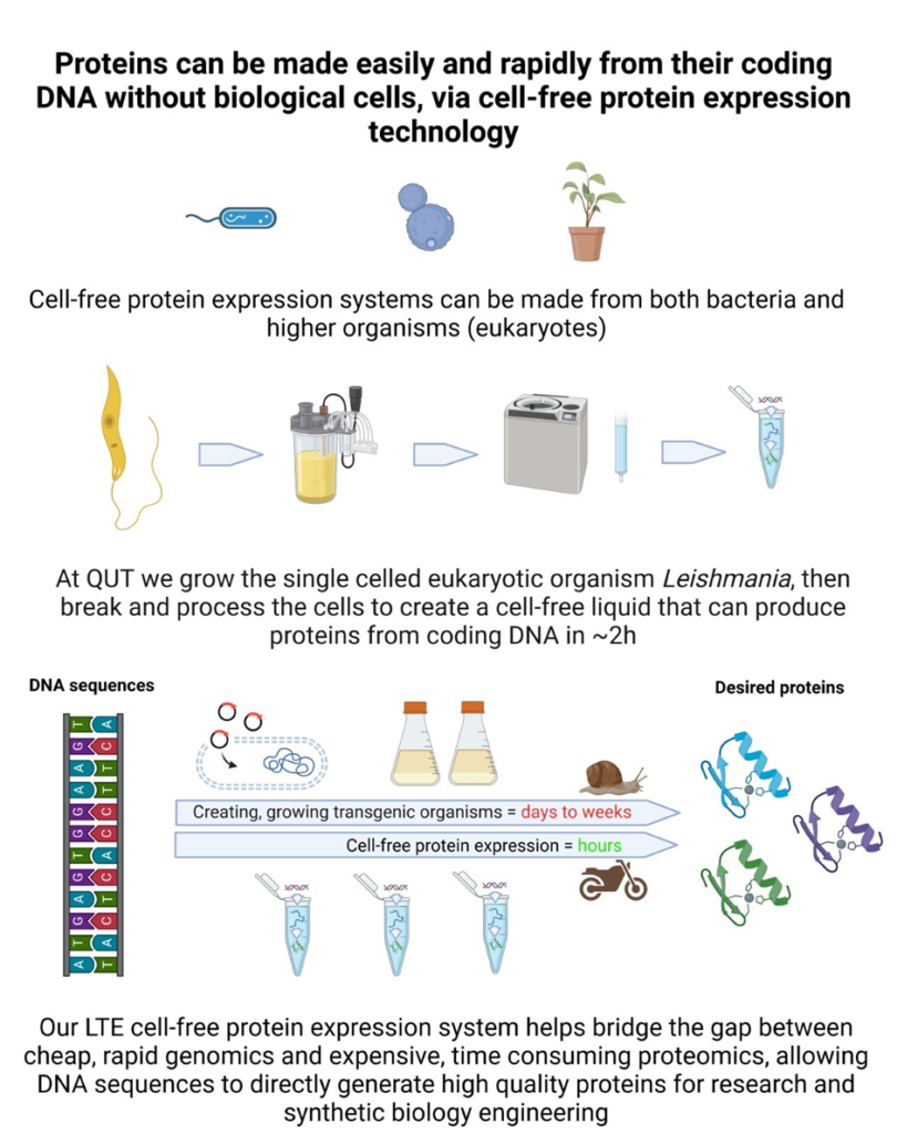 Cell-free Protein Expression Platform - Centre for Agriculture and the Bioeconomy