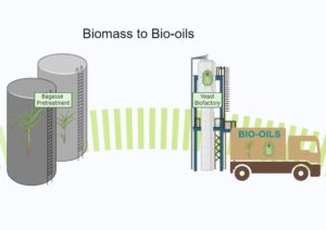 Biomass to Bio-oils with Yarrowia lipolytica - Centre for Agriculture ...