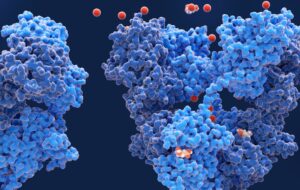 IspH control of IPP and DMAPP ratios in the MEP pathway - Centre for ...