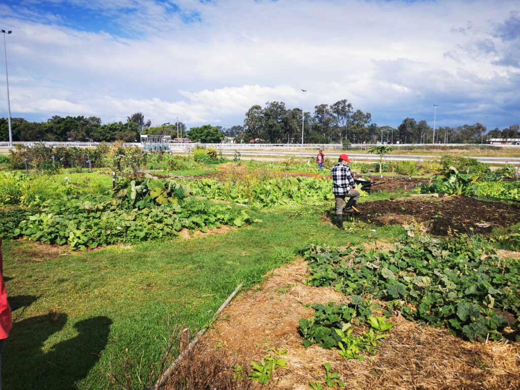 Connecting with Cultural Foods - Centre for Childhood Nutrition Research
