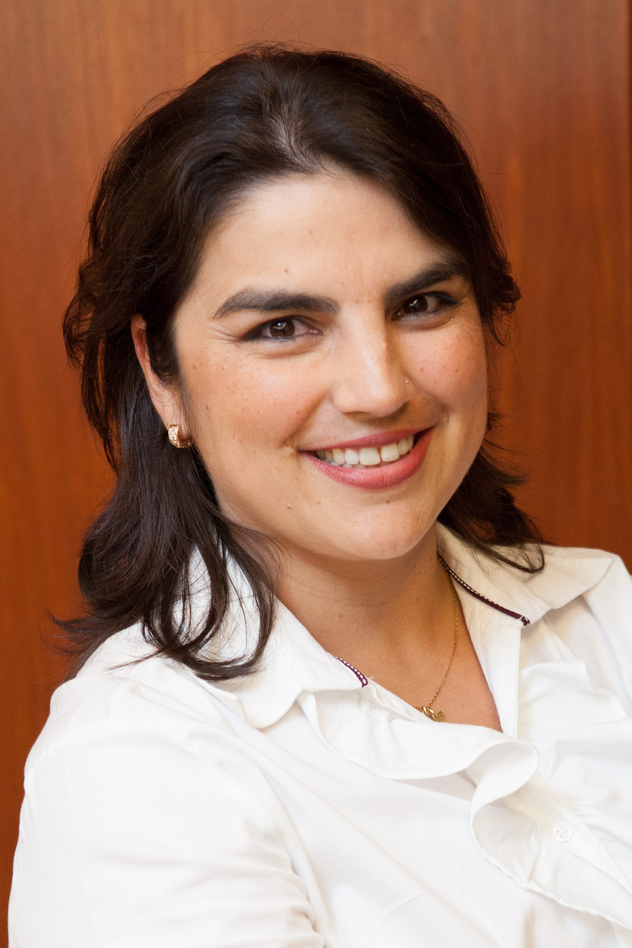 Denise Nogueira - Centre for Decent Work & Industry