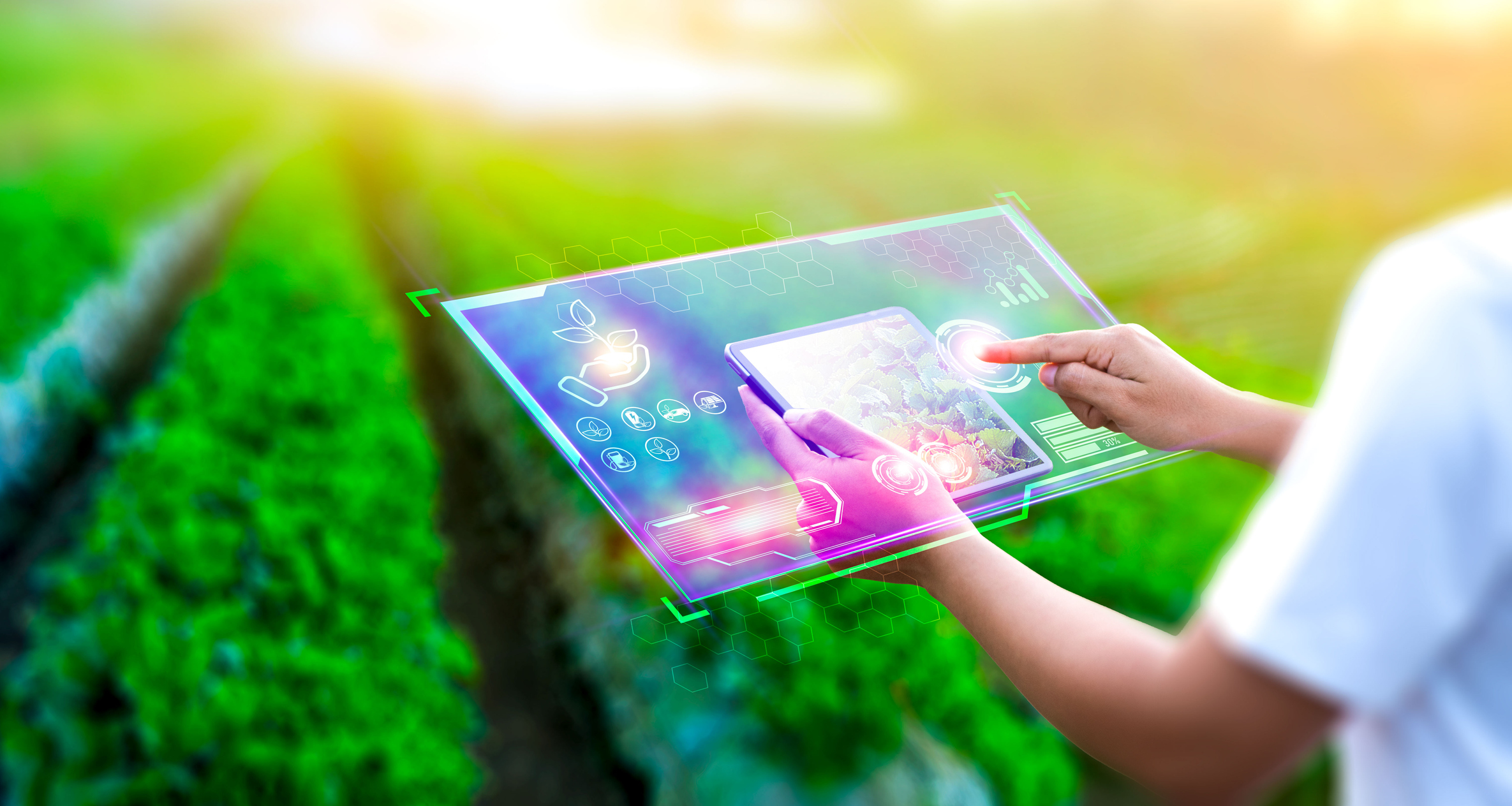 YRF update - Designing for future food - Centre for Future Enterprise