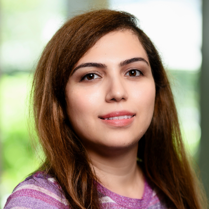 Forough Zarea Fazlelahi - Centre for Future Enterprise