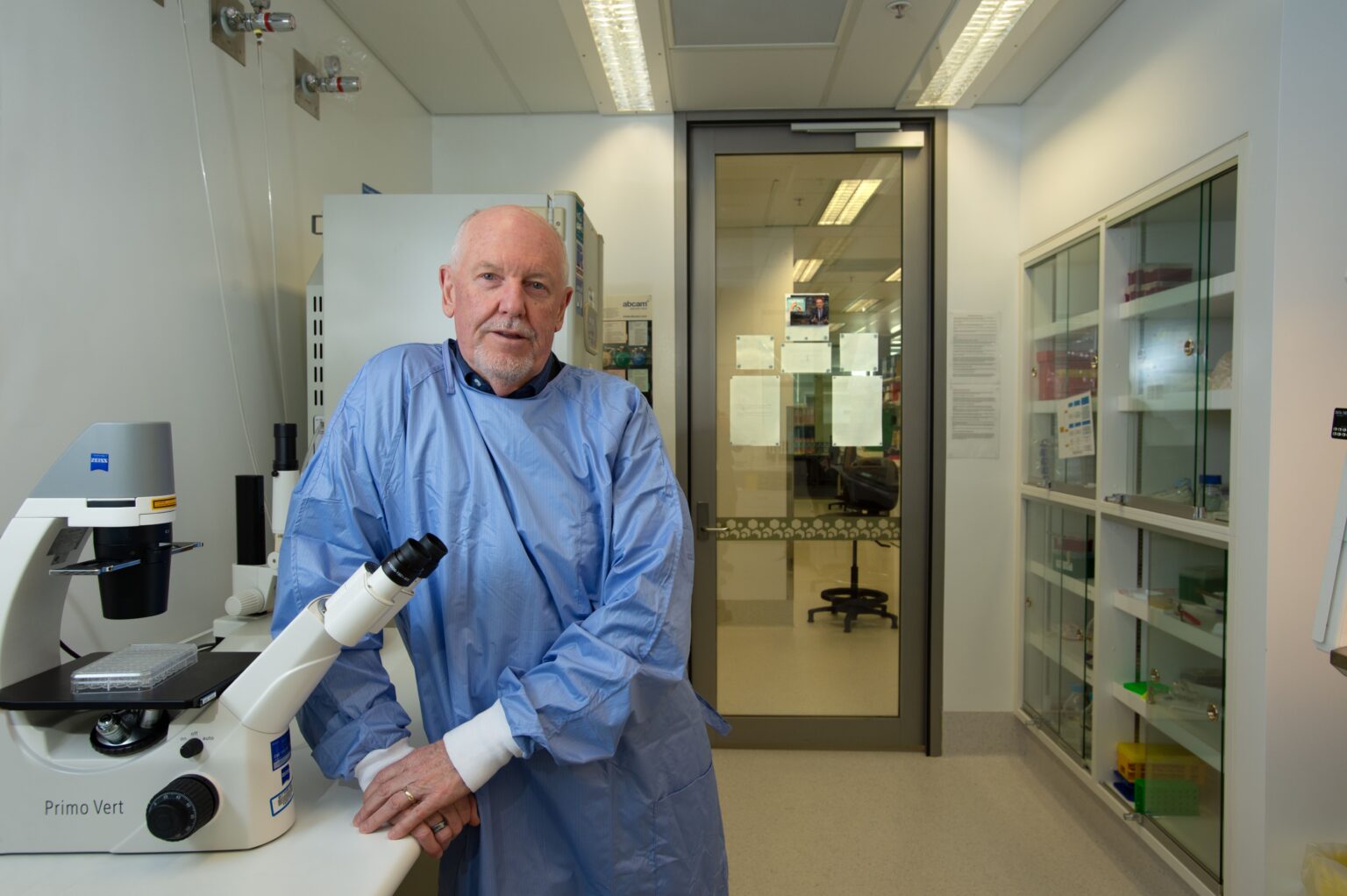 Research milestone for koala chlamydia vaccine research - Centre for ...