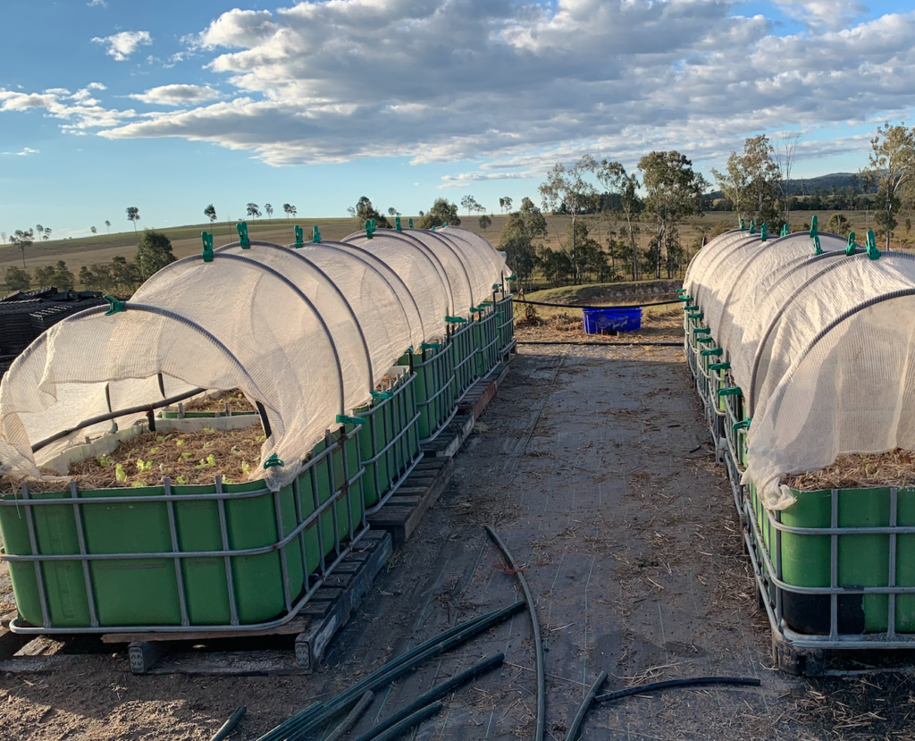 Growing Food - How to Build a Digital Circular Food Economy