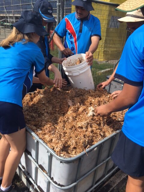 Growing Food - How to Build a Digital Circular Food Economy