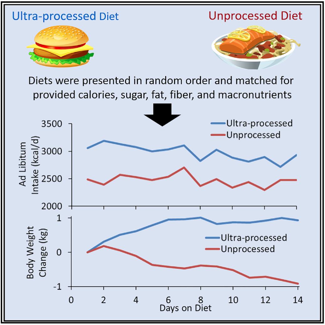 Eating Fresh - How to Build a Digital Circular Food Economy
