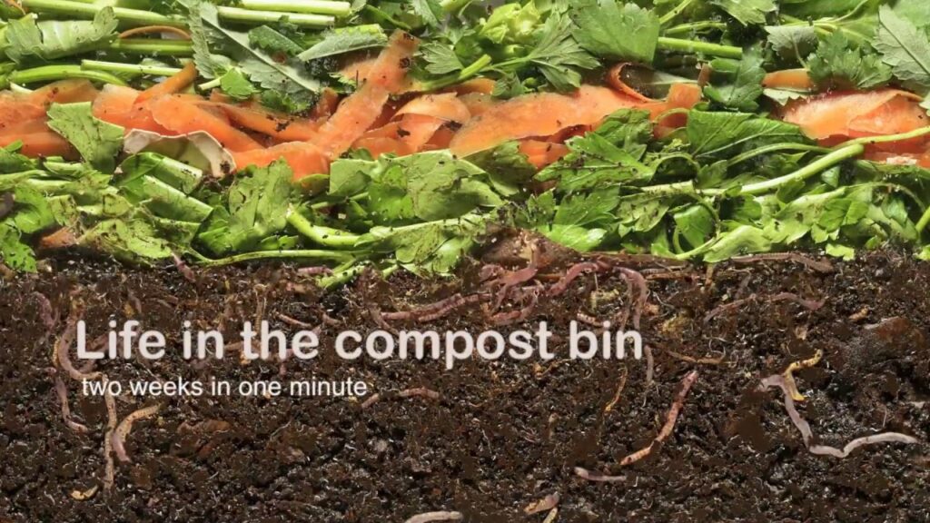 Compost - How to Build a Digital Circular Food Economy
