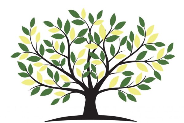 Responsible Urban Innovation - City 4.0 Lab