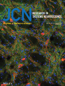 Derivation of human retinal cell densities using high-density ...