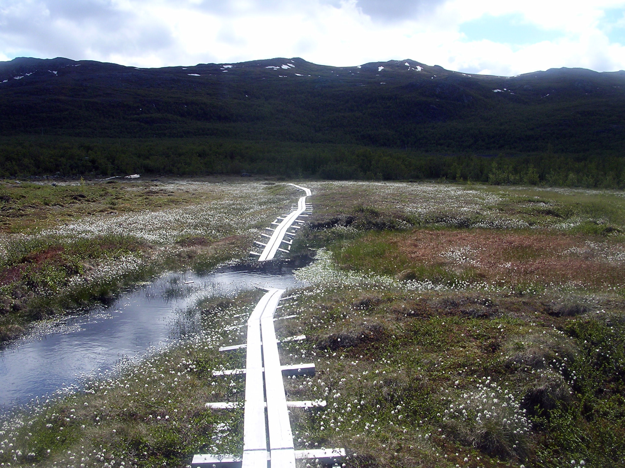 Identifying emergent ecosystem responses through genes-to-ecosystems ...