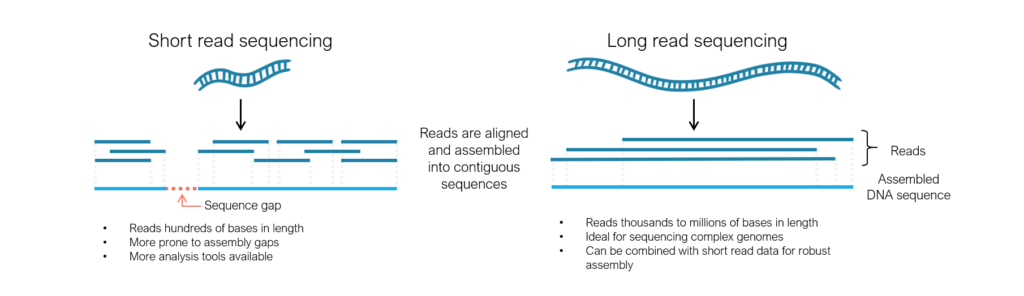 Our Services - Centre for Microbiome Research