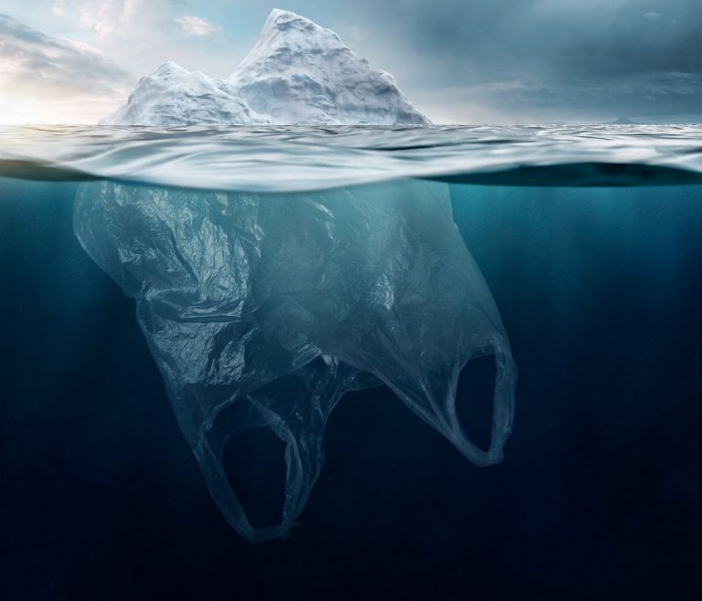 Truly Biodegradable Plastic That Could End Ocean Waste - Centre for ...