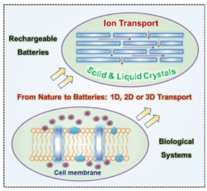 Crystal Channel Engineering for Rapid Ion Transport : From Nature to ...