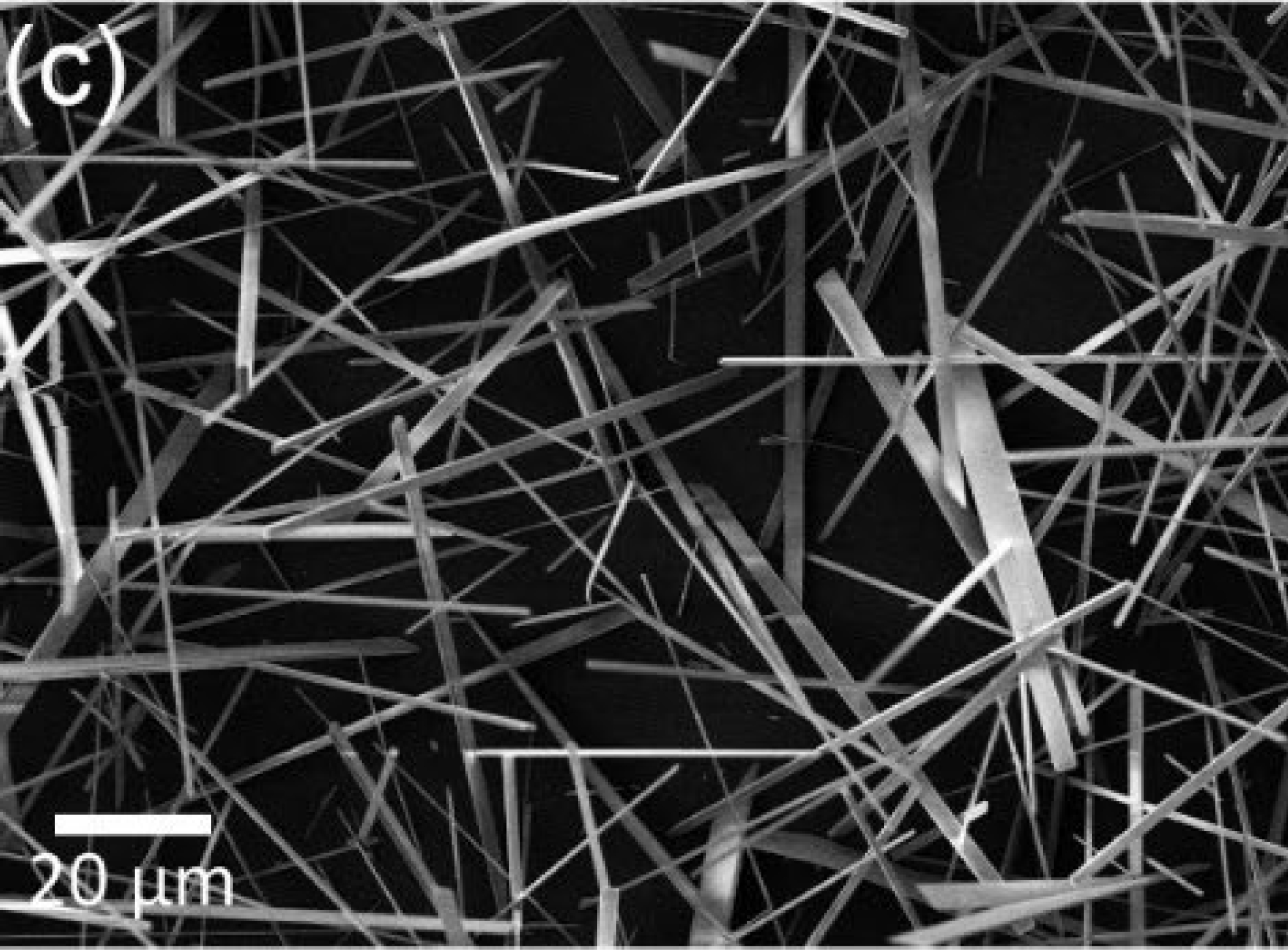 Highly Sensitive No2 Gas Sensors Based On Mos2 Moo3 Magnetic Heterostructure Centre For