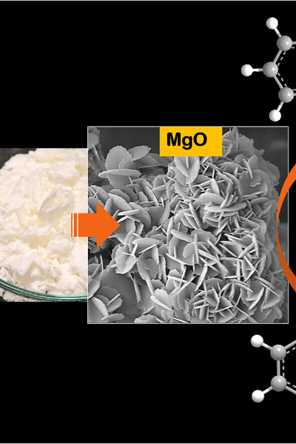 Sustainable Claisen-Schmidt chalcone synthesis catalysed by plasma-recovered MgO nanosheets from ...