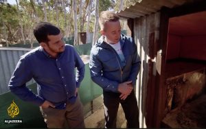 Save Australia's Wombats, an interview with Marcus Foth - QUT Design Lab