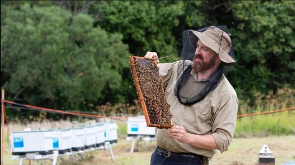 Projects - QUT Design Lab