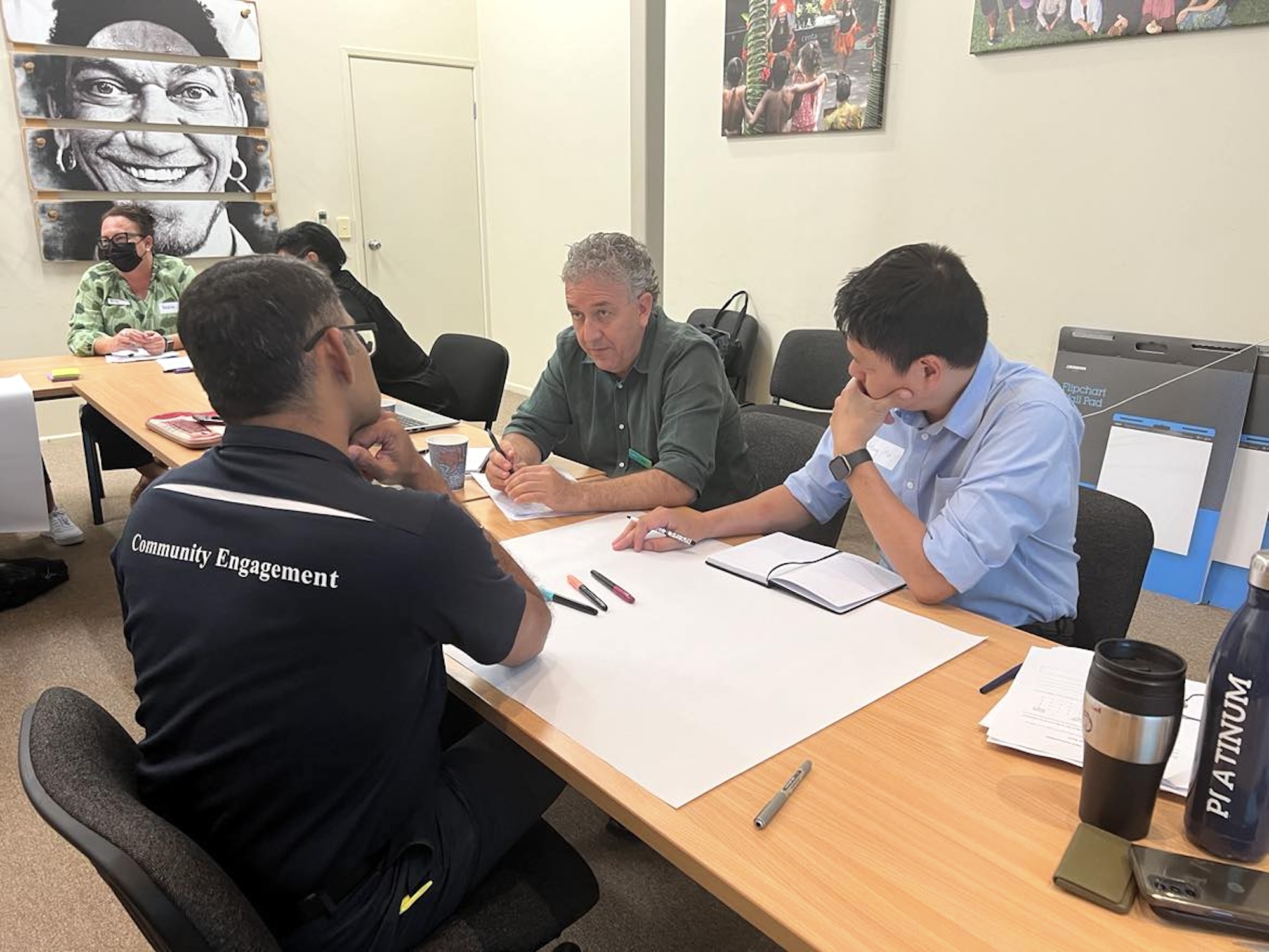 Empowering culturally and linguistically diverse (CALD) communities in ...