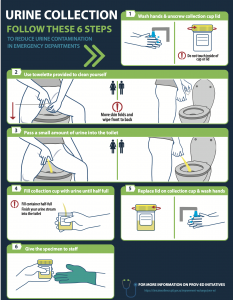 Using images to reduce urine contamination in the ED - the power of visual health communication ...