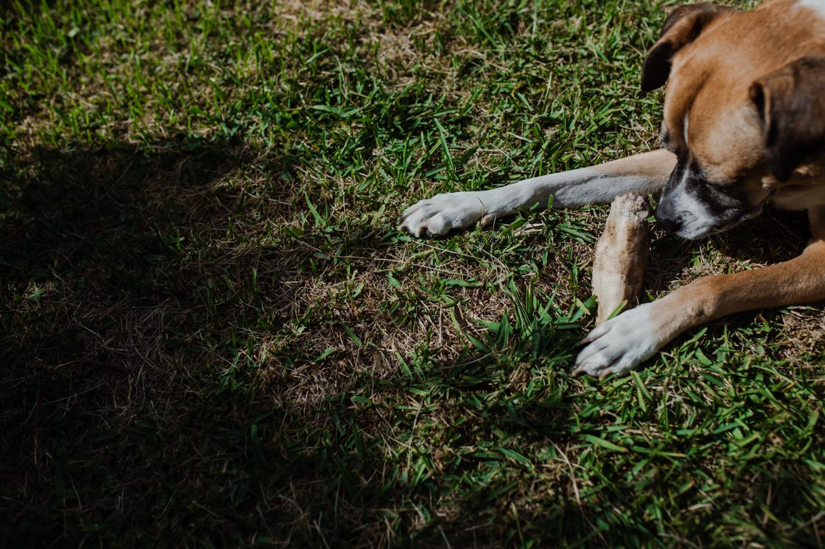 Cash and Laya’s VAD Story: grateful to choose the hour and manner of ...