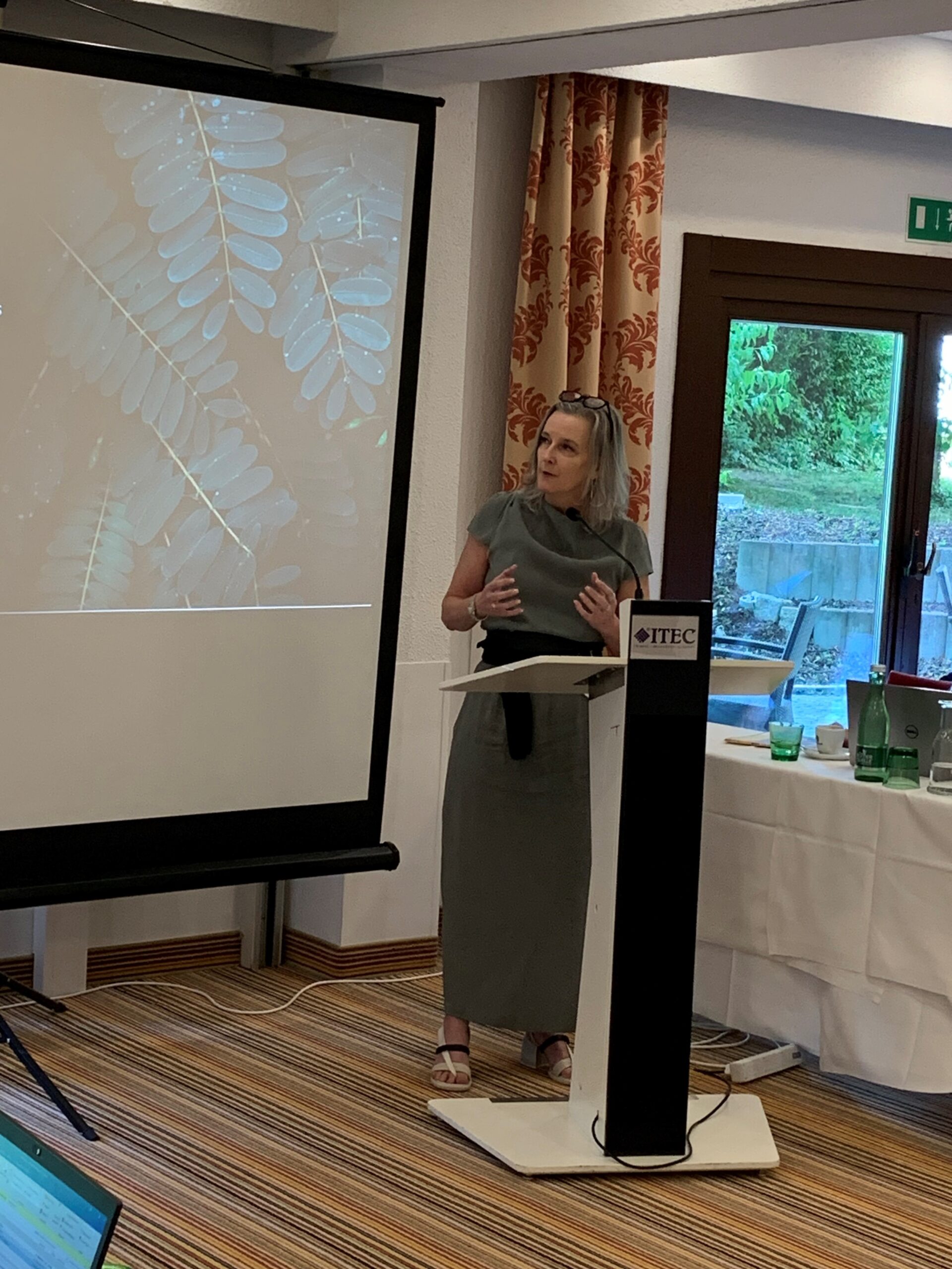 Crypto Assets: Tax Law and Policy - International Tax in the Digital Age