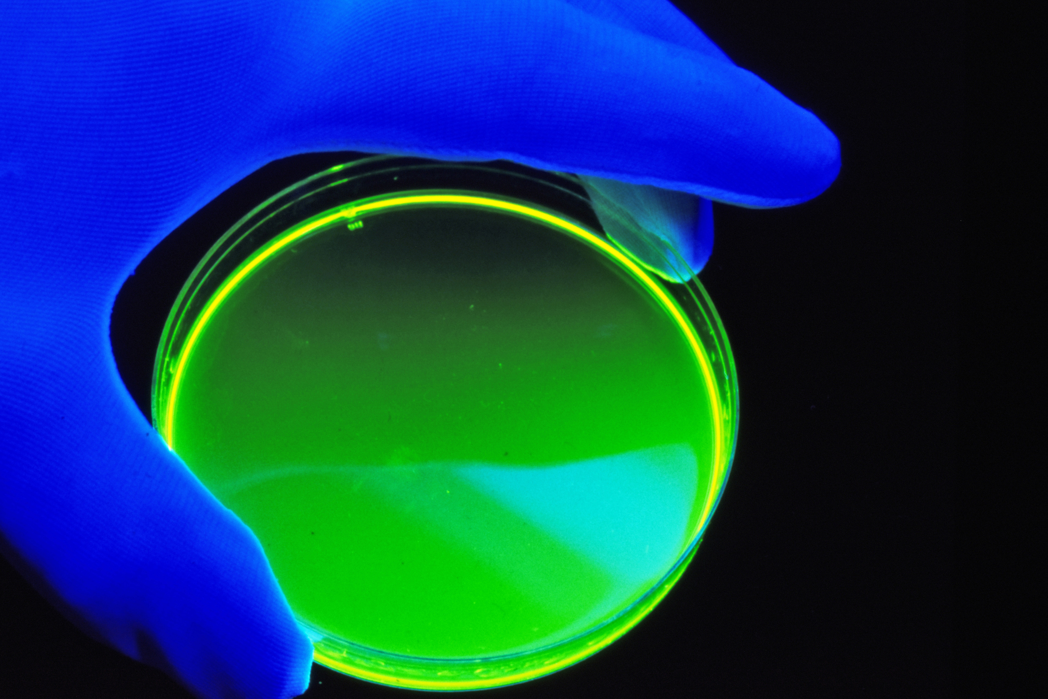 QUT Boost Grant - New materials to respond to high energy radiation ...