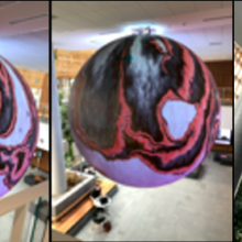 Wallangarra: Seeing the White Gum - More-than-Human Futures