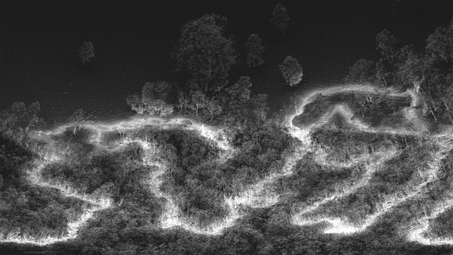 Keith Armstrong awarded prestigious ANAT Synapse fellowship - More-than ...