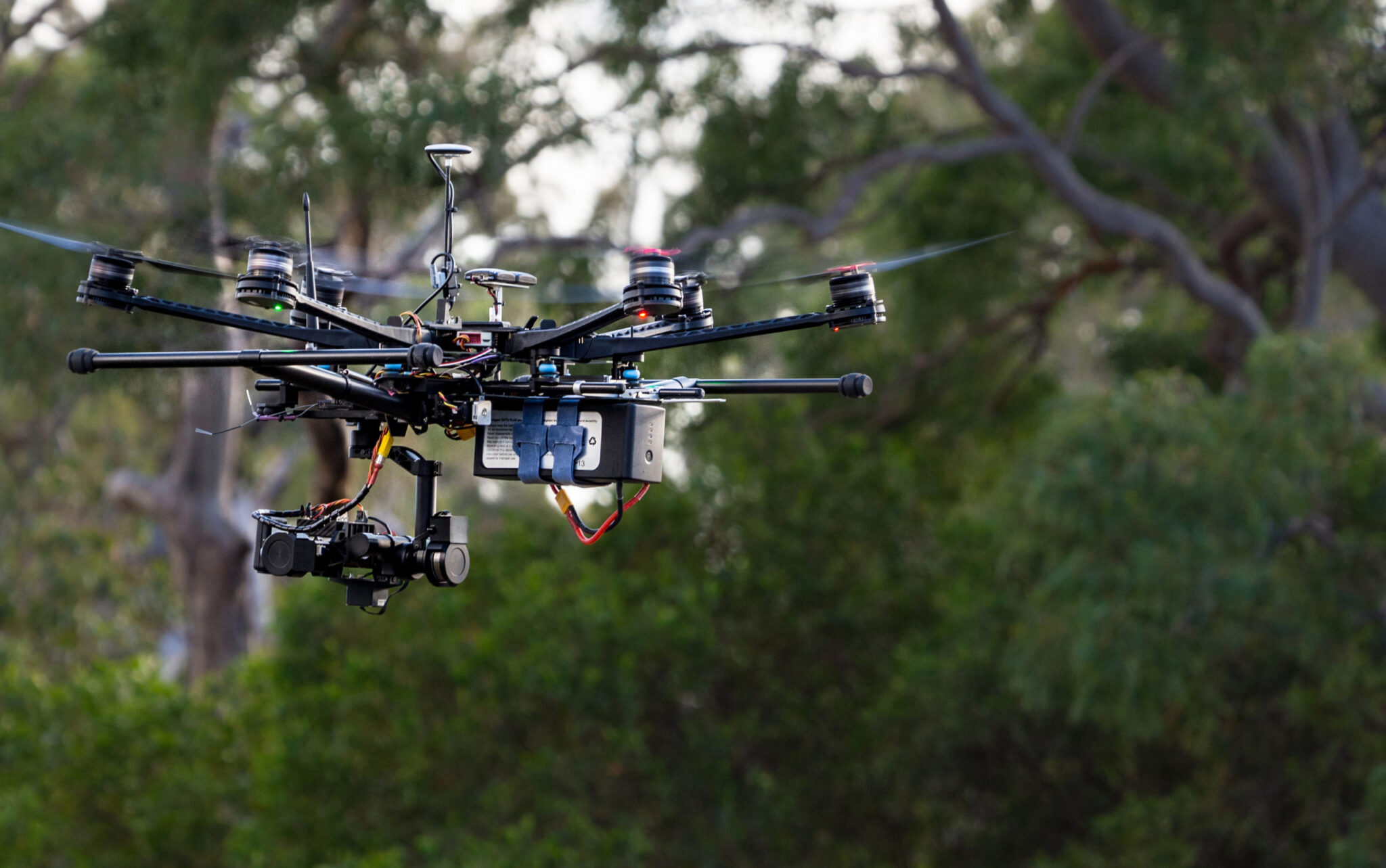 ConservationAI Network - Quantitative Applied Spatial Ecology Group