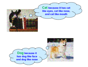 Continual Learning System - QUT Centre for Robotics