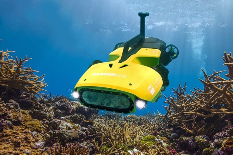 Weakly Supervised Segmentation of Underwater Imagery - QUT Centre for ...