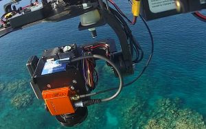 Monitoring reef health with drones and AI - Reef Research
